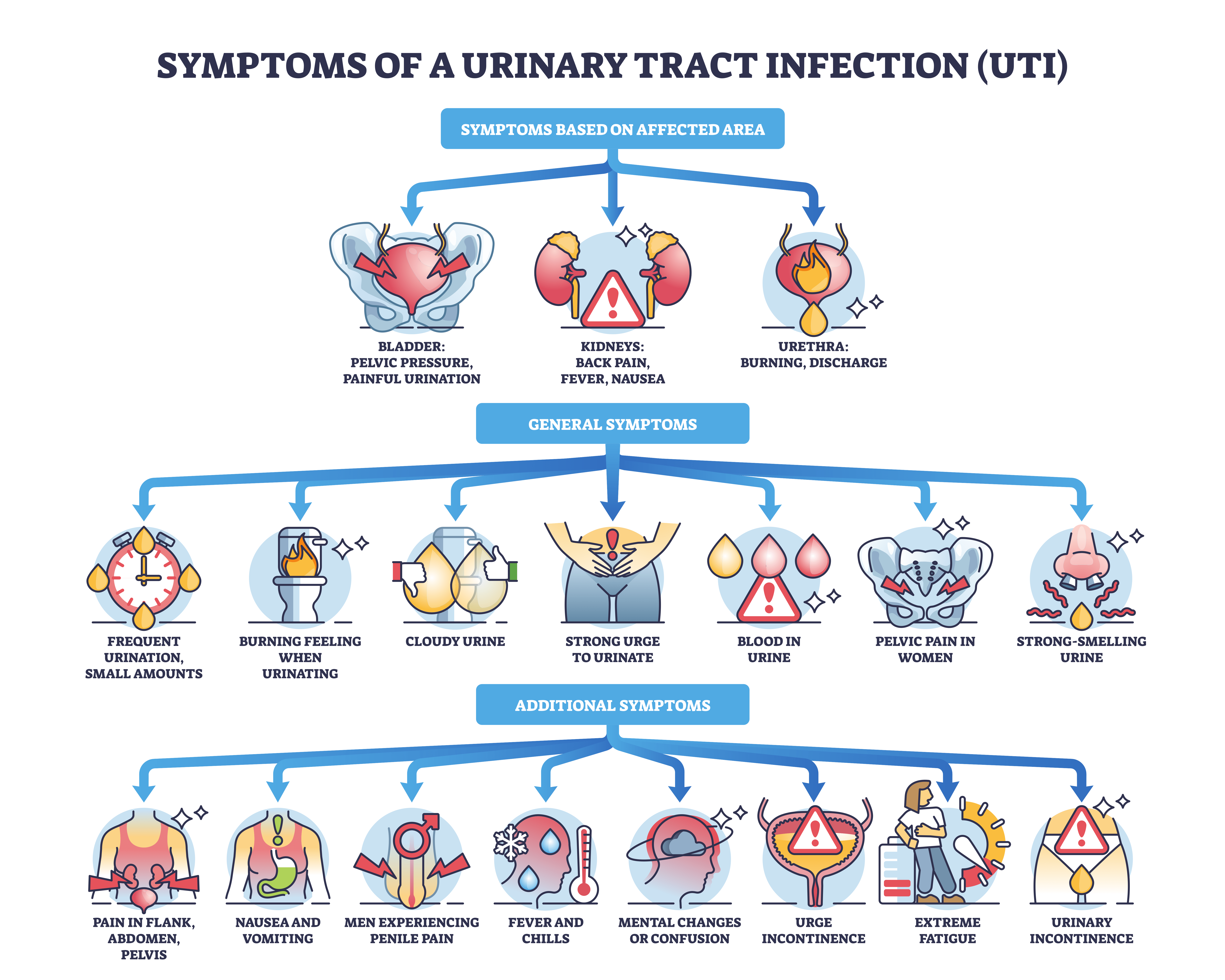 UTI Treatment | Urology Associates Central Coast
